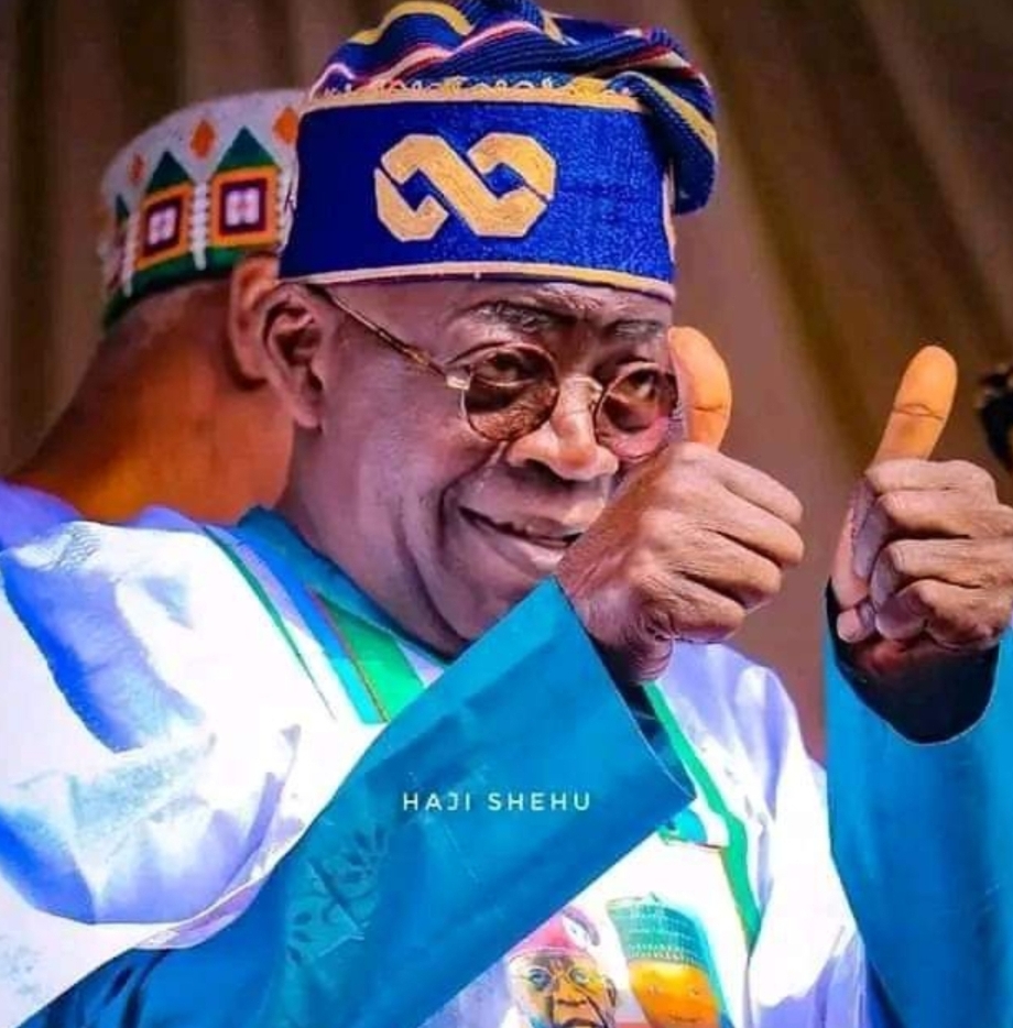NORTHERN Elders Bow, Denies Attacking Tinubu After Josef Onoh Lists ...