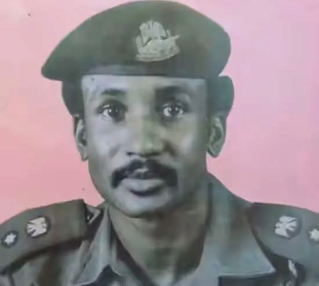 KADUNA: TINUBU Confers National Honour On Daring June 12 Activist Col ...